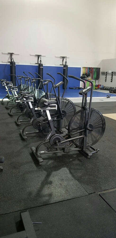 Hercules – ROCK STEADY BOXING GREATER BAY AREA